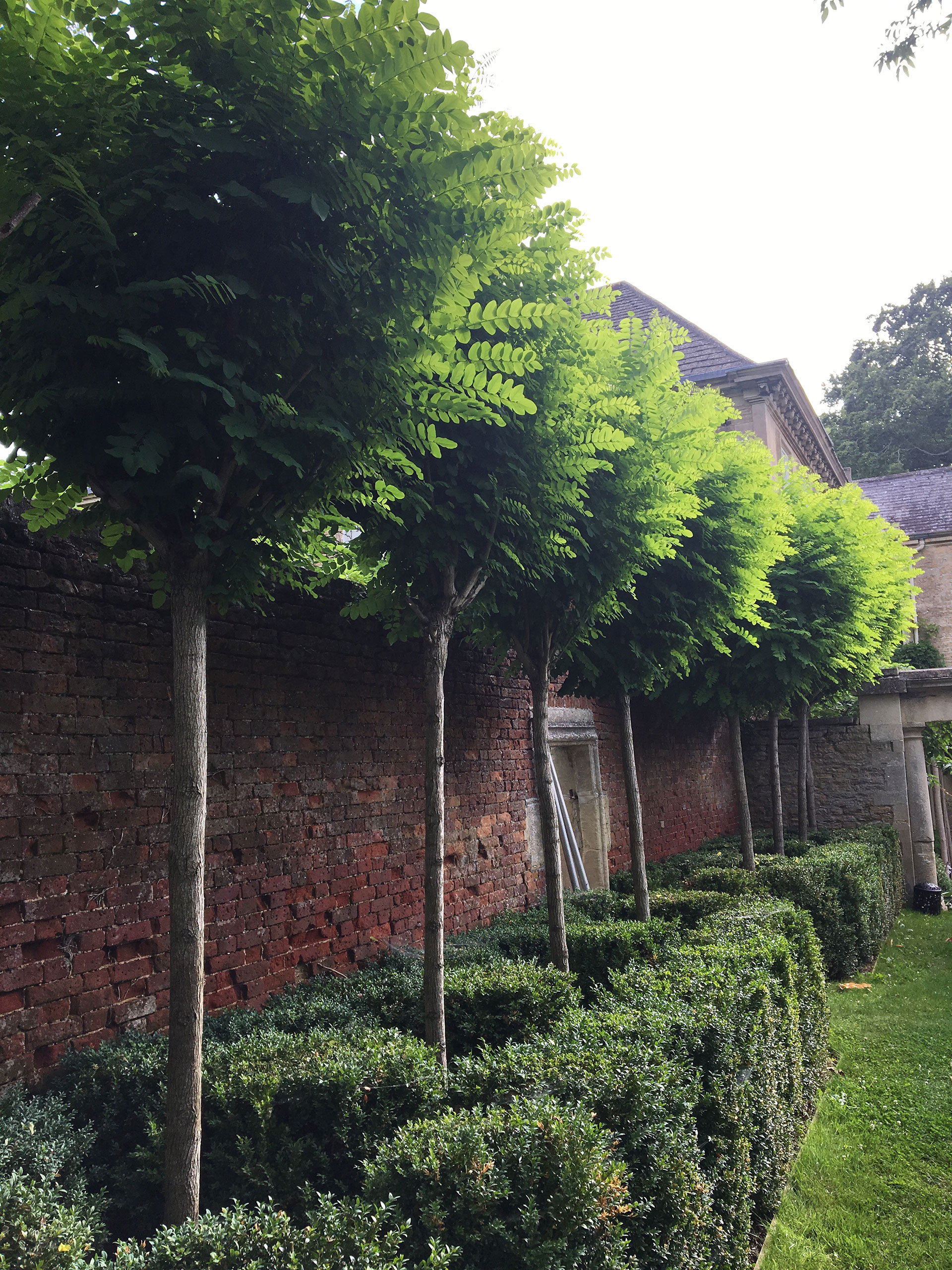 Gallery - Compass Garden Design