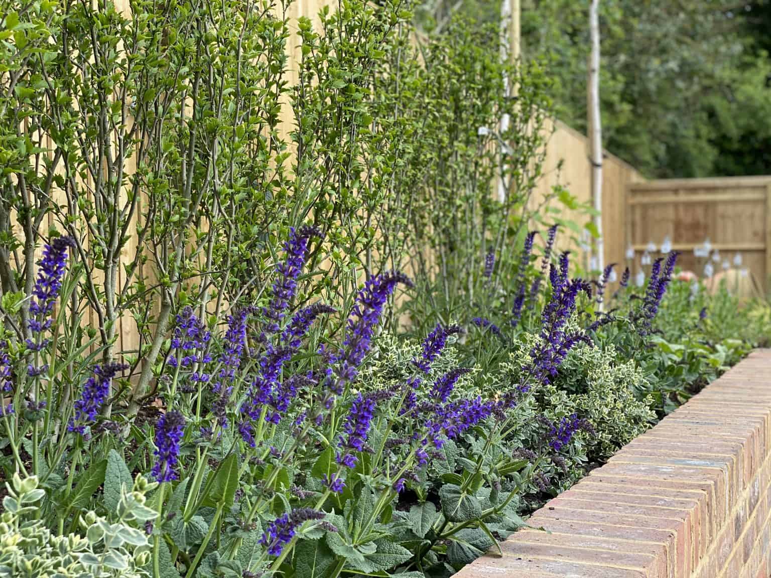 Garden Design London | Gallery | Compass Garden Design