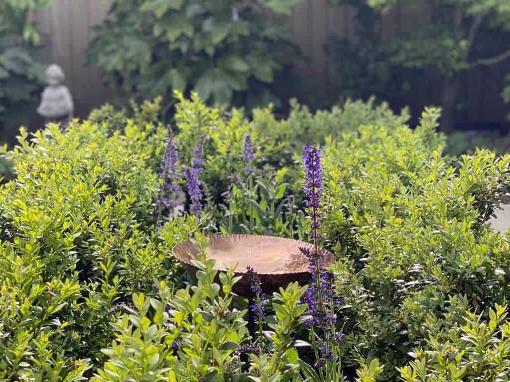 Garden Design London | Gallery | Compass Garden Design