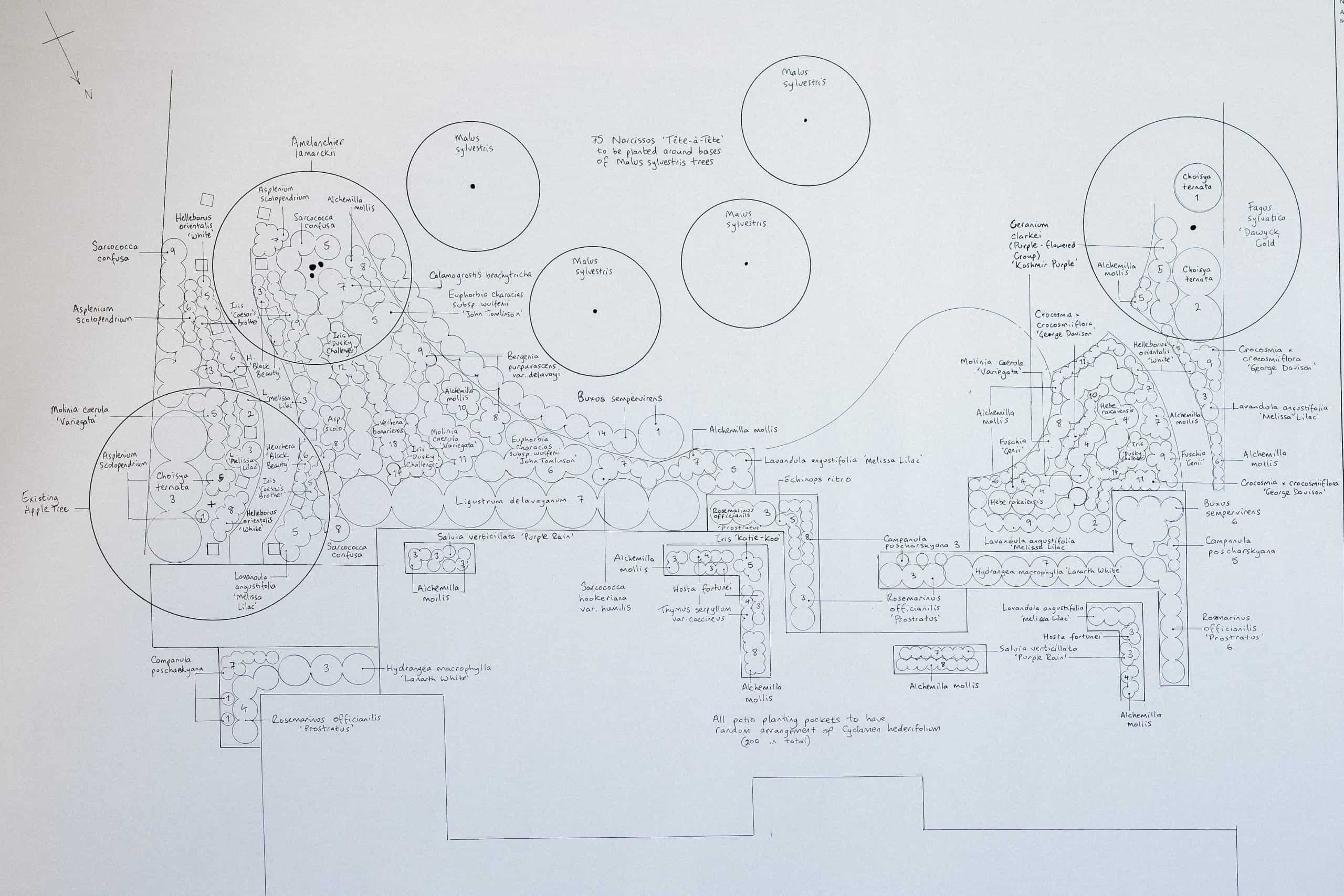 Gallery - Compass Garden Design